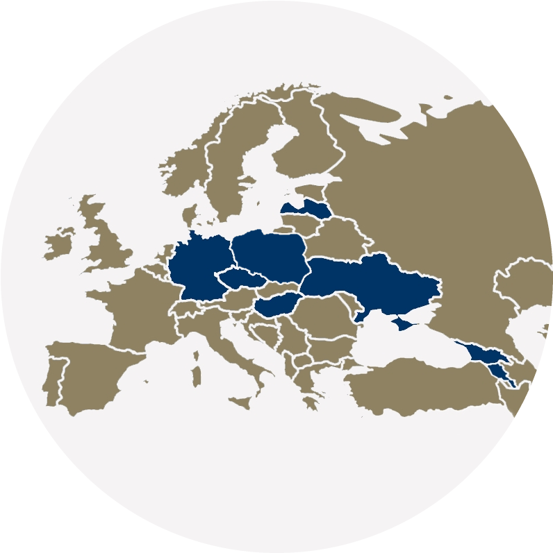 Netzwerk Ost-West (NOW) — Prof. Dr. Dr. h.c. Martin Heger